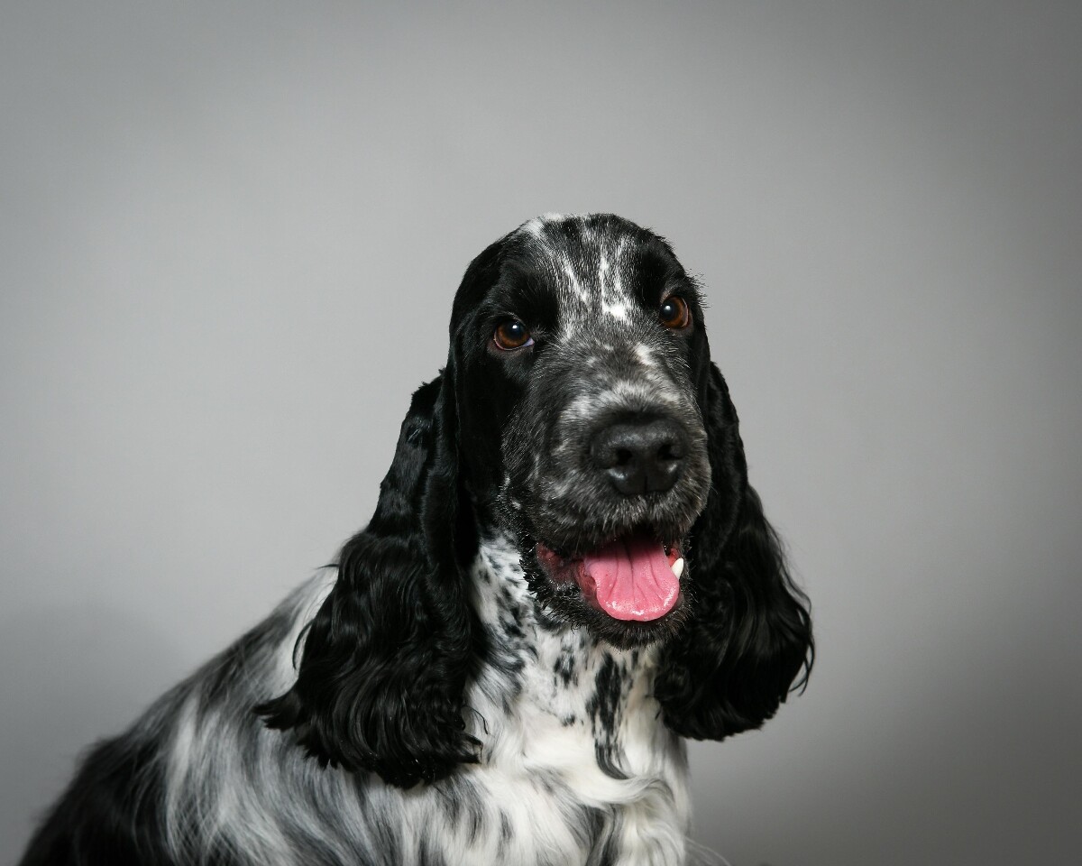 Client Area - Emma Sanderson Photography