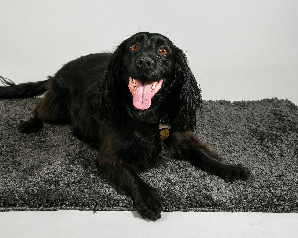 Client Area - Emma Sanderson Photography